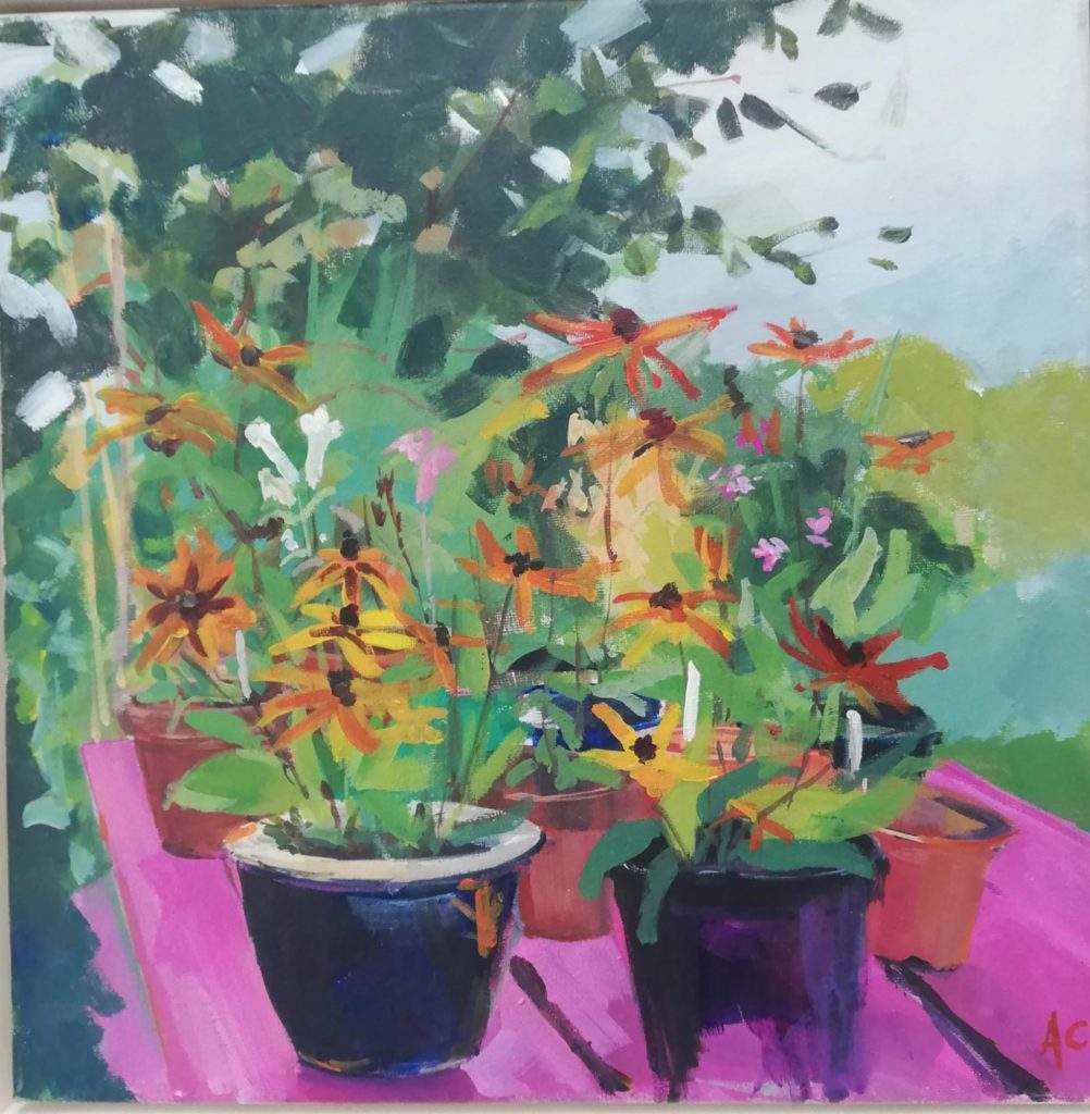 Hot Pots – Angela Corben Artist